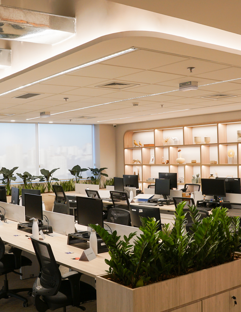 Grupo Moas | Mart, Buba e Buba Care